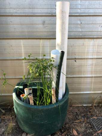 Build a five-star hotel for the Peron's Tree Frog - GB CMA - Goulburn ...