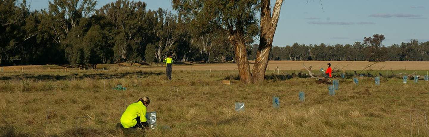 Revegetation - GB CMA - Goulburn Broken CMA
